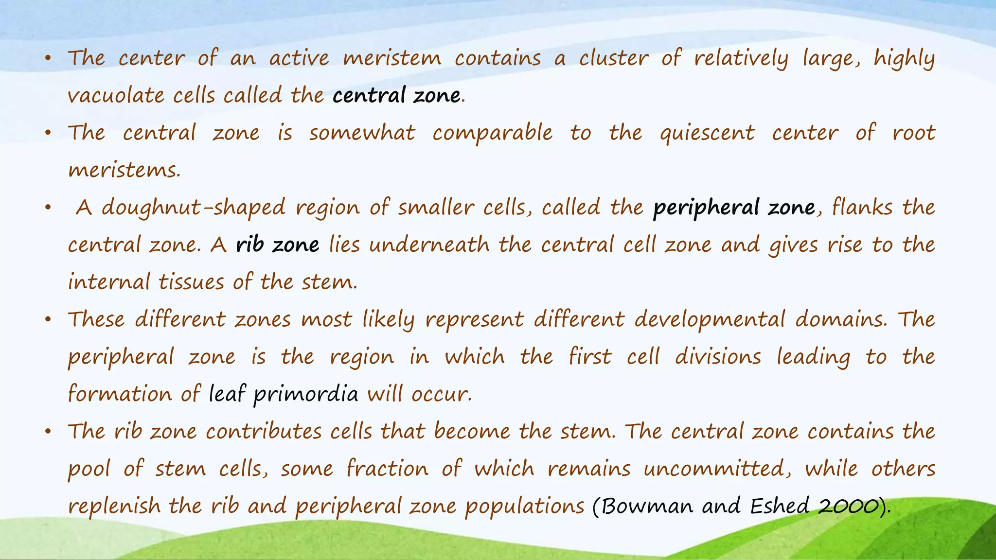 Shoot and root apical meristem | PPTX