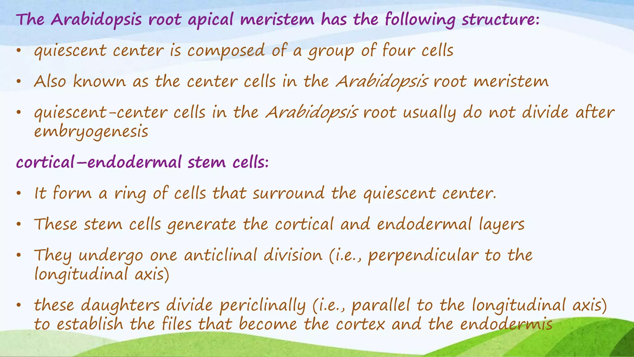 Shoot and root apical meristem | PPTX