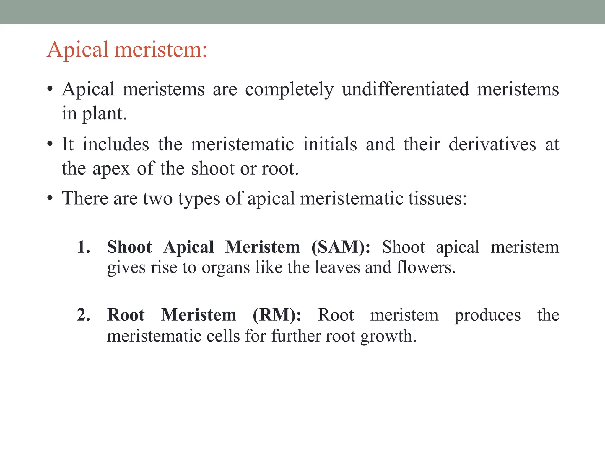 Shoot apex organization and its theories | PPTX