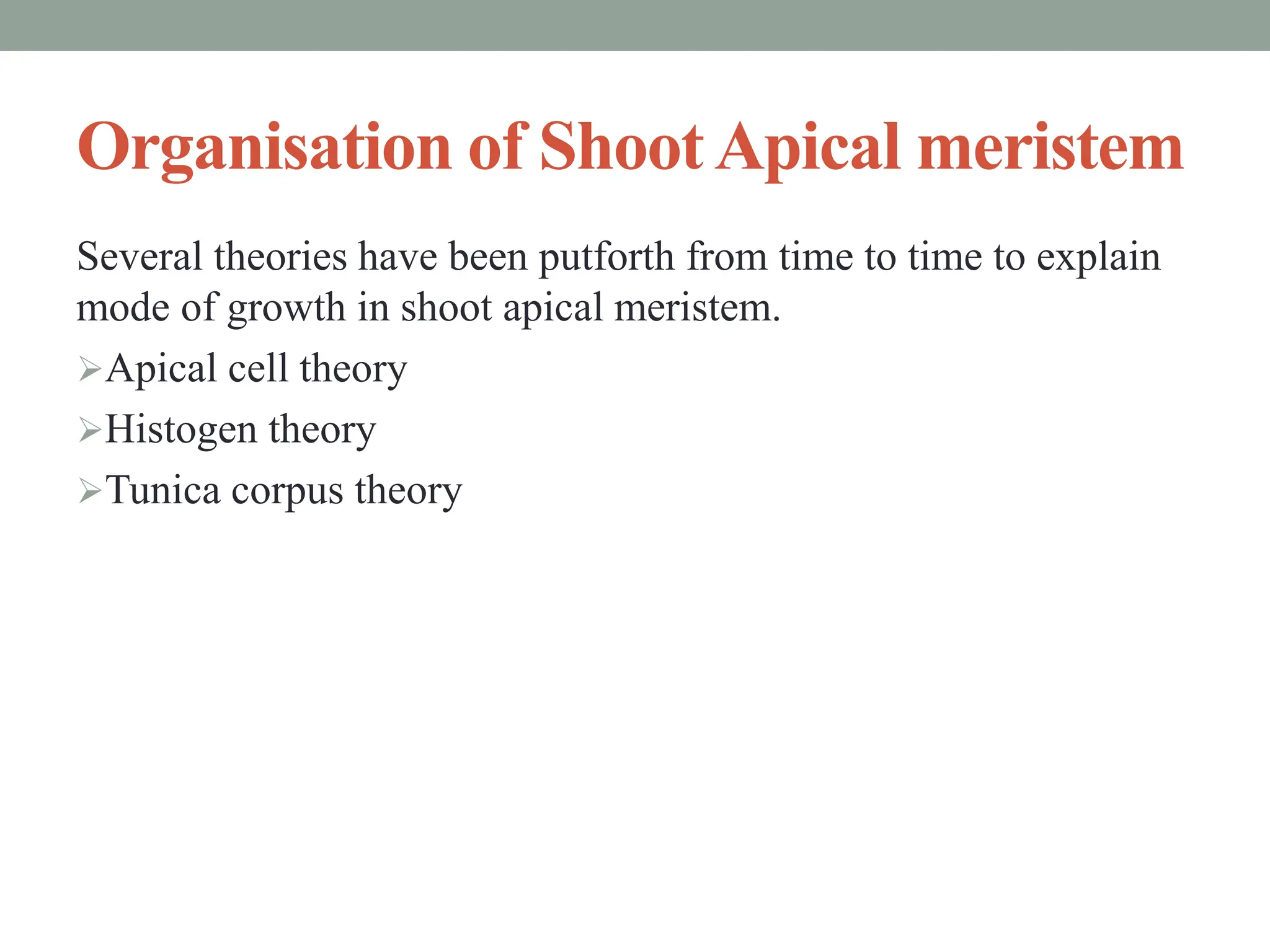 Shoot apex organization and its theories | PPTX