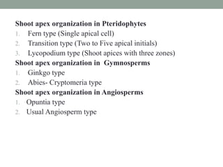 Shoot apex organization and its theories | PPTX