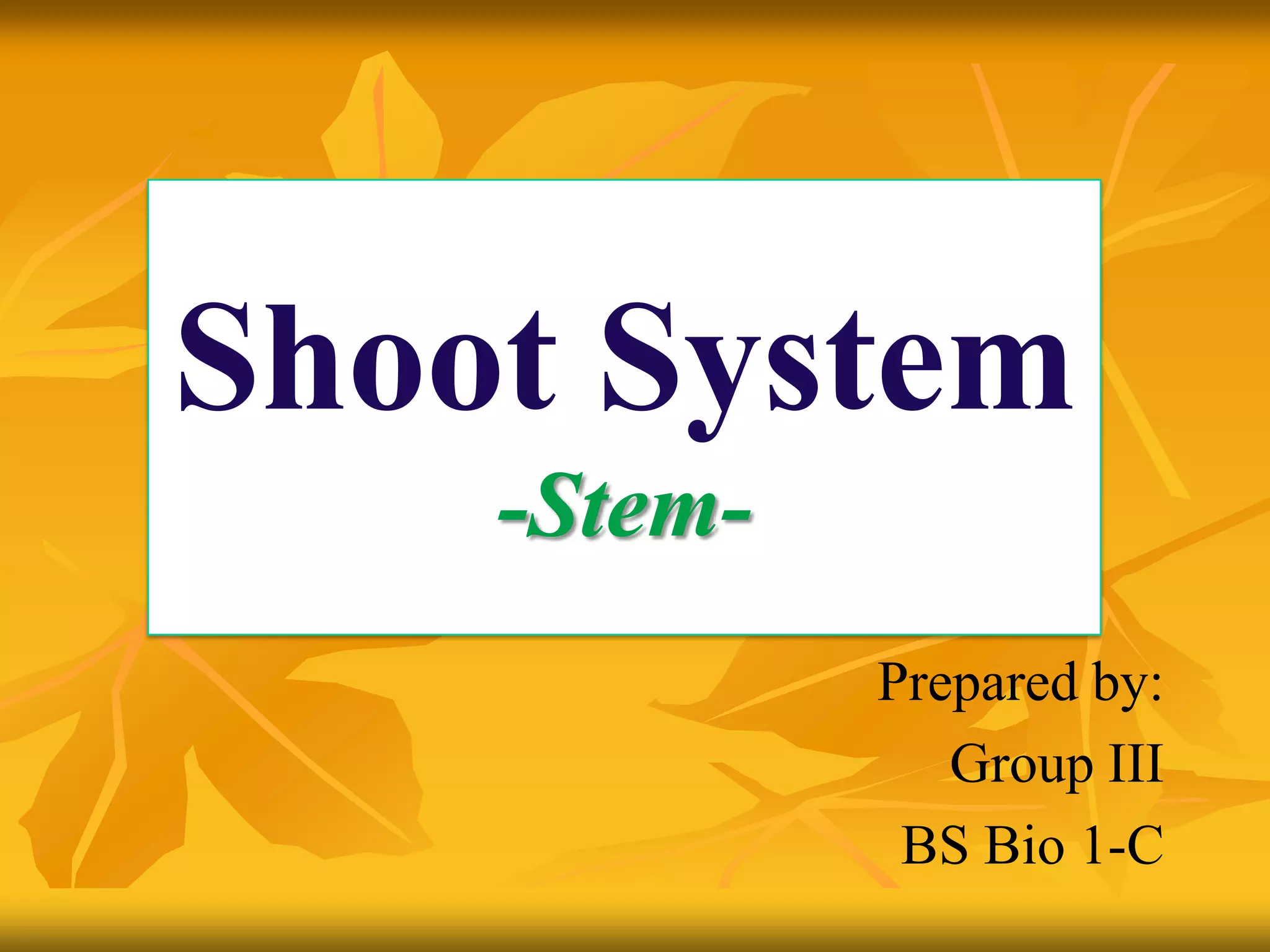 Shoot system | PPT
