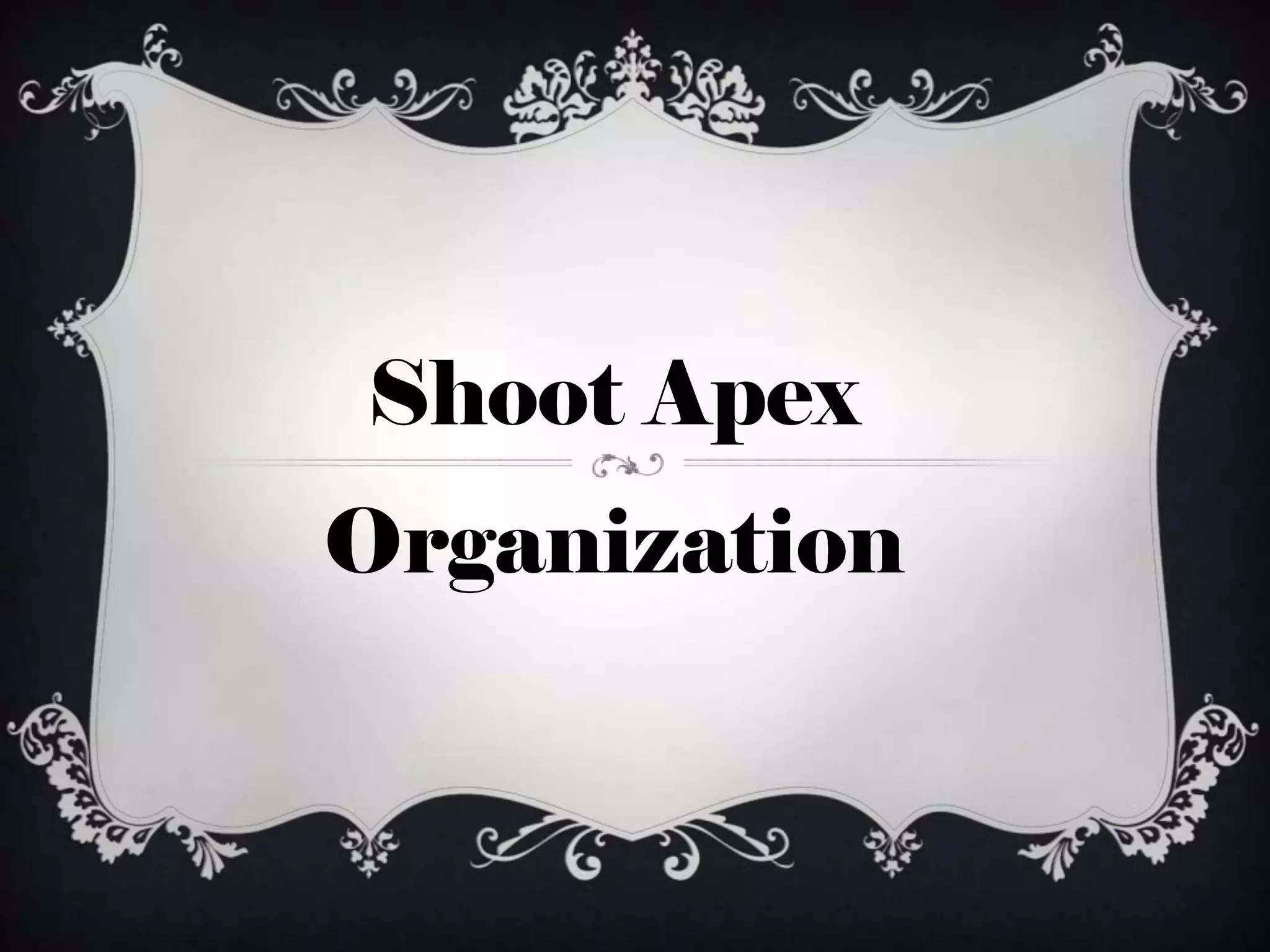 Shoot system | PPT