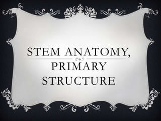 Shoot system | PPT