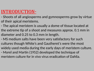 Shoot Tip Culture PPT with detail description of all points | PPTX