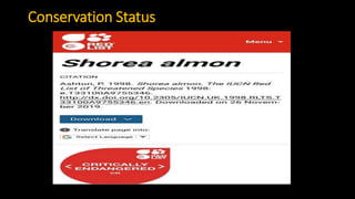 Shorea almon | PPTX