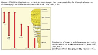 Shoreface Depositional Pattern in different sedimentary basins.pptx