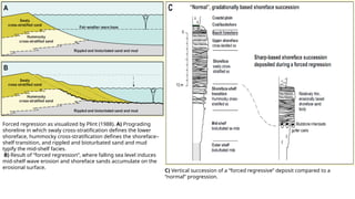 Shoreface Depositional Pattern in different sedimentary basins.pptx