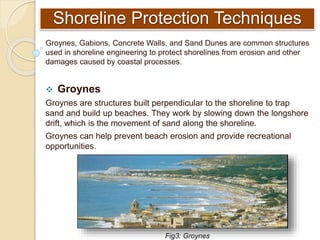 Shoreline Engineering and their consideration.pptx | Beach Travel ...