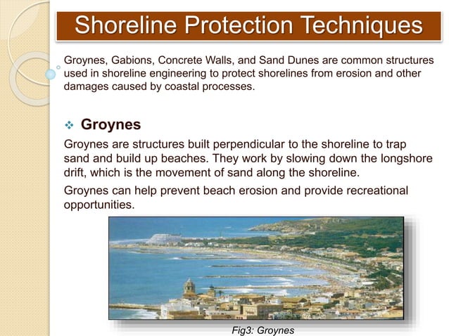 Shoreline Engineering and their consideration.pptx | Beach Travel ...