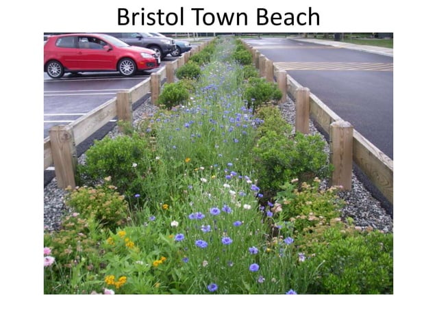 Shoreline Regrading and Stabilization | PPTX