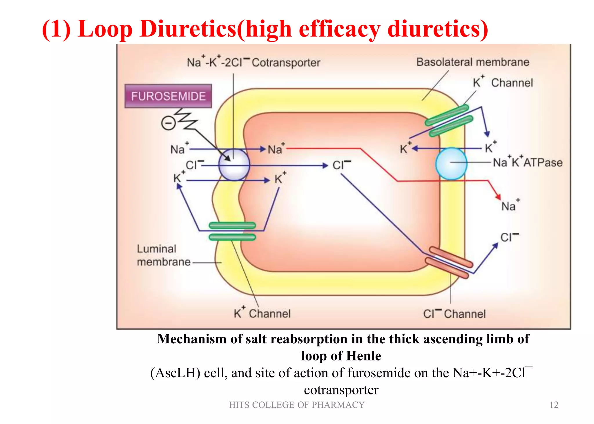 Diuretics (shoriful) | PPTX