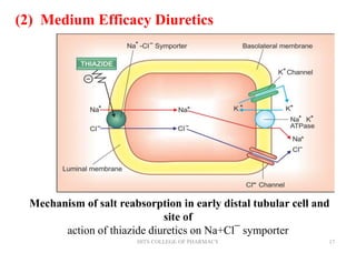 Diuretics (shoriful) | PPTX