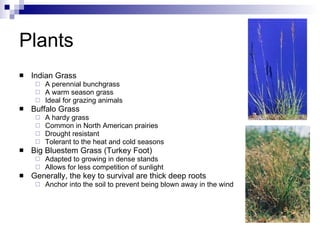 Short Grass Prairie | PPT | Landscaping | Home & Garden