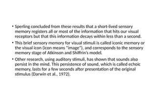 Short-Term and Working Memory. experiment | PPTX