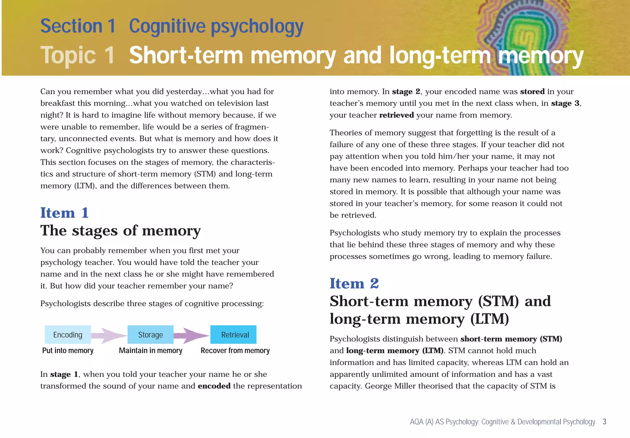 Short and long term memory | PDF