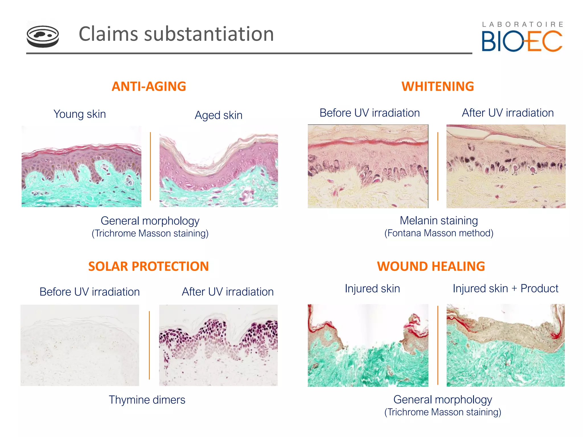 BIO-EC Laboratory | PDF