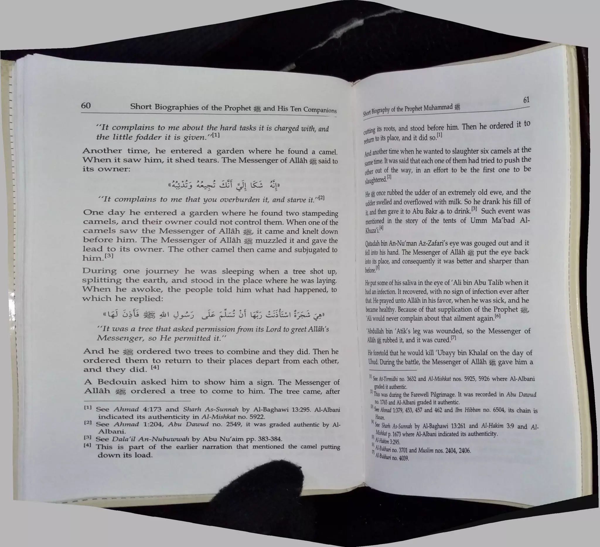 Short biography of the prophet (saw) and his ten companions by al imam ...