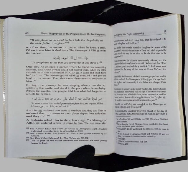 Short biography of the prophet (saw) and his ten companions by al imam ...