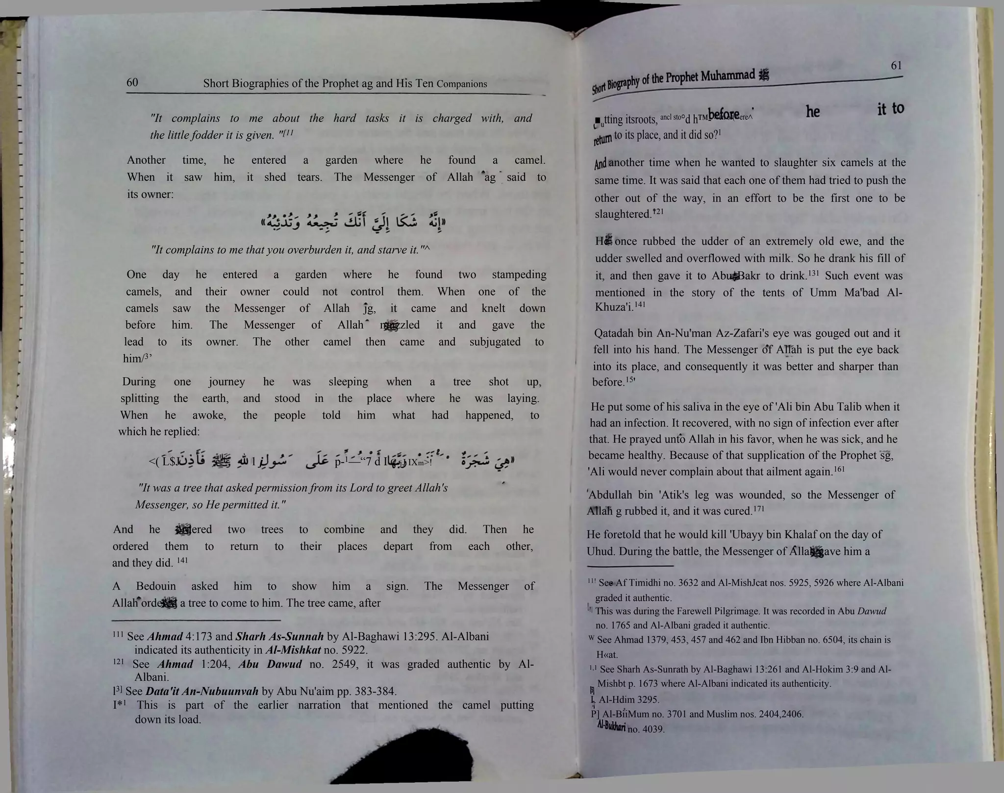 Short biography of the prophet (saw) & his ten companions by al imam al ...