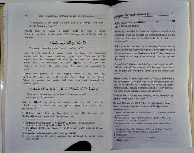 Short biography of the prophet (saw) & his ten companions by al imam al ...
