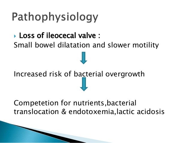 Pathophysiology Of Short Bowel Syndrome | Healthcare Student