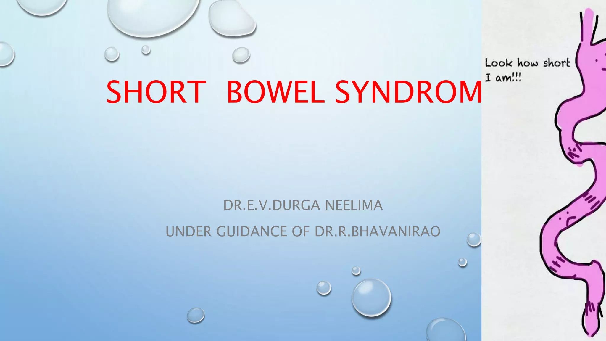 Short bowel syndrome | PPT