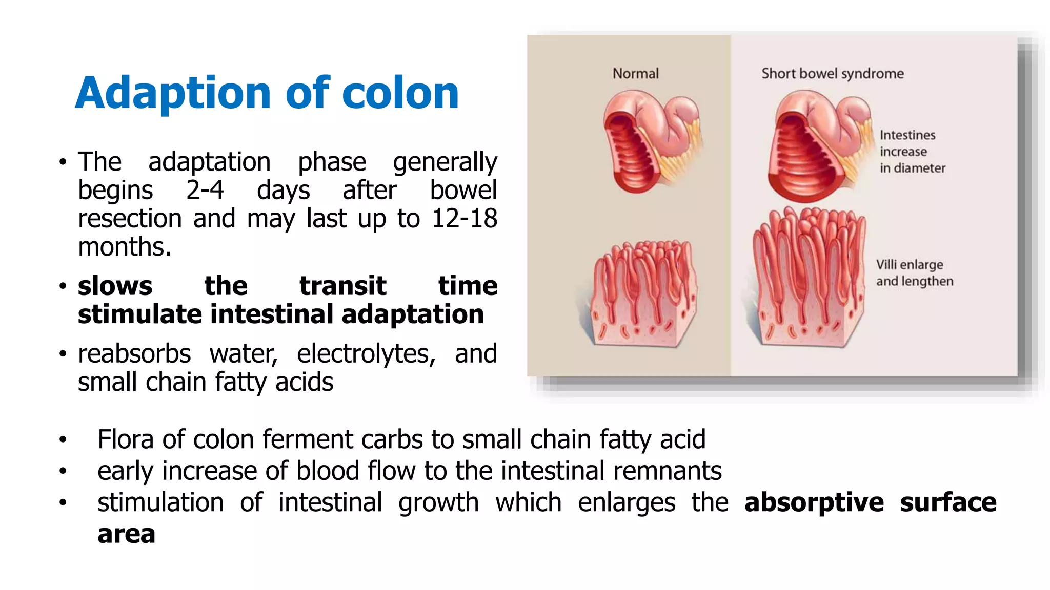 Short Bowel syndrome Dr Habibur Rahim | PPTX