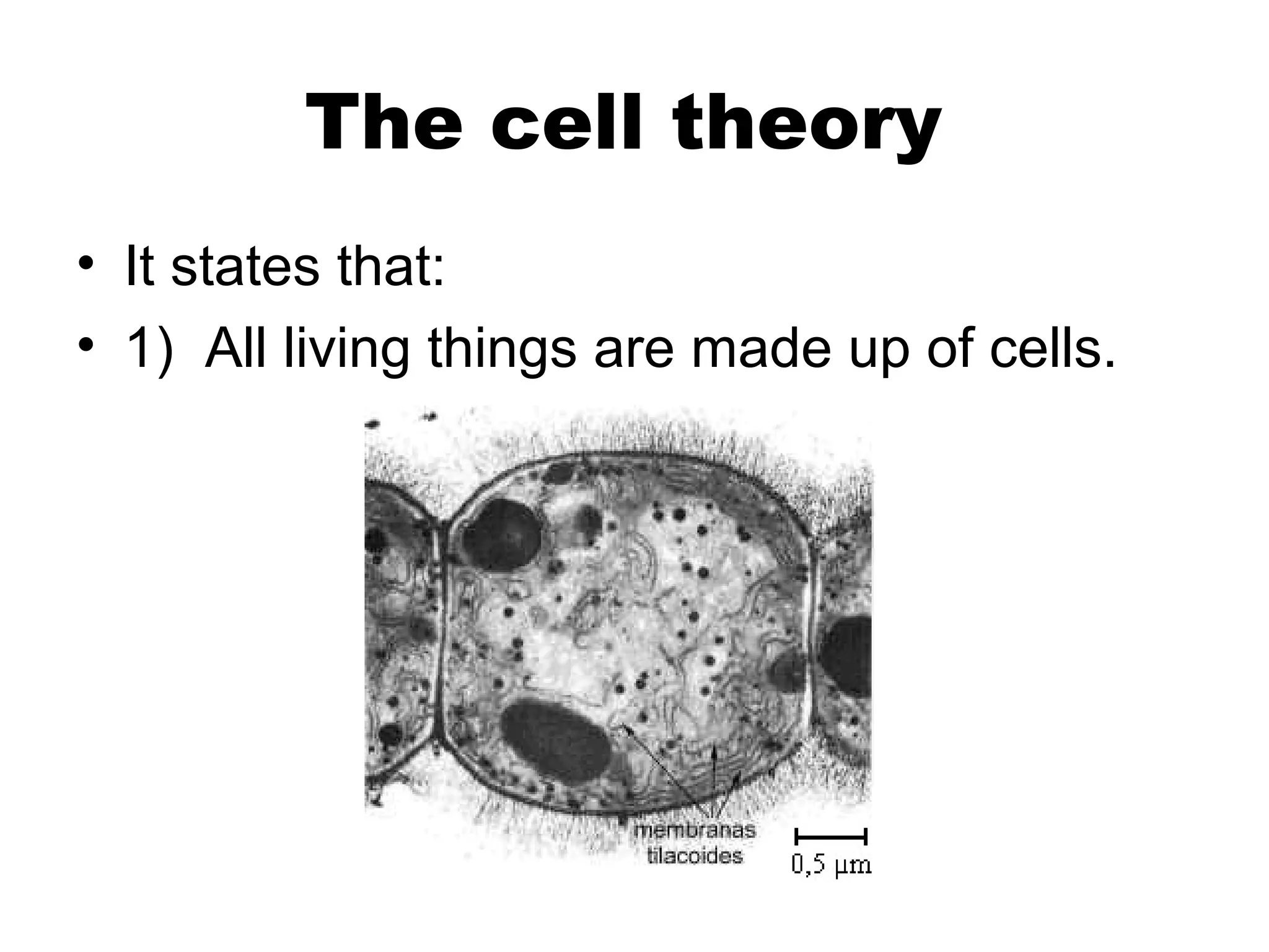 The cell theory and the microscopes 4º ESO IES Pedro de Luna -ZARAGOZA ...