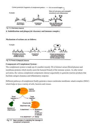 Short complement system notes | PDF