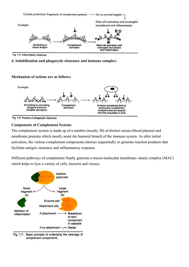 Short complement system notes | PDF