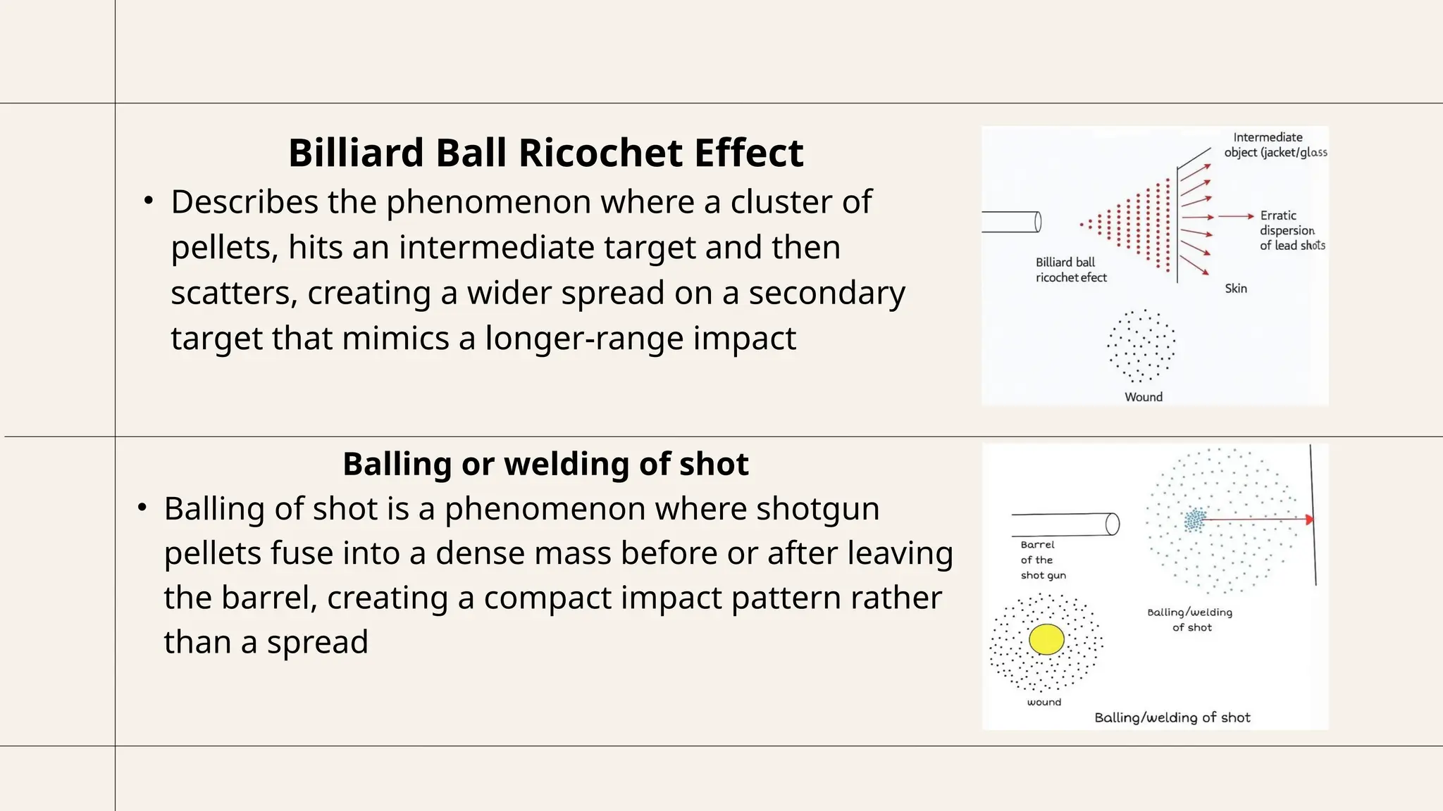 Short gun and Revolvers.pptxjjdjdjdjfffff | PPTX