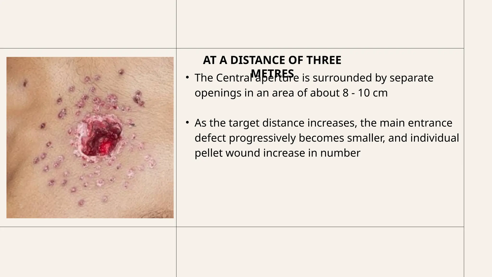 Short gun and Revolvers.pptxjjdjdjdjfffff | PPTX