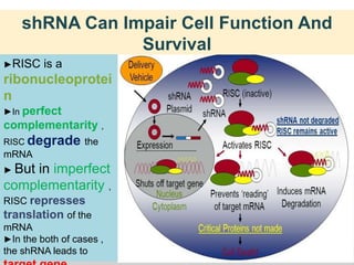 Short hairpin rna | PPTX
