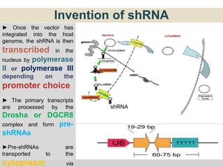 Short hairpin rna | PPTX