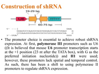 Short hairpin rna | PPT