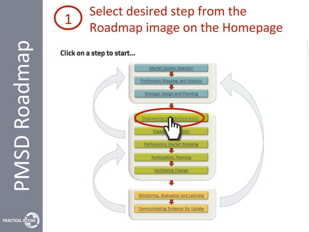 How to use the PMSD Roadmap | PDF