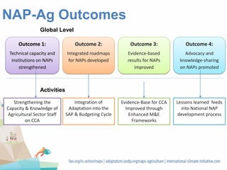 Short introduction nap ag for posting final | PPT