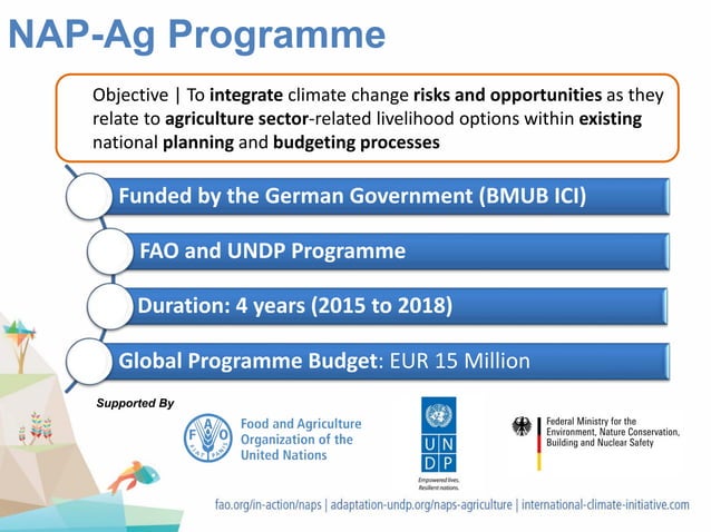NAP Ag Programme: Integrating agriculture into the NAP process | PDF