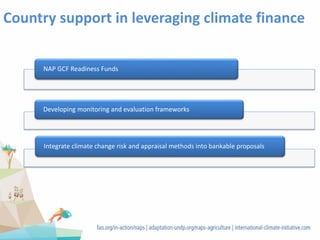 NAP Ag Programme: Integrating agriculture into the NAP process | PDF