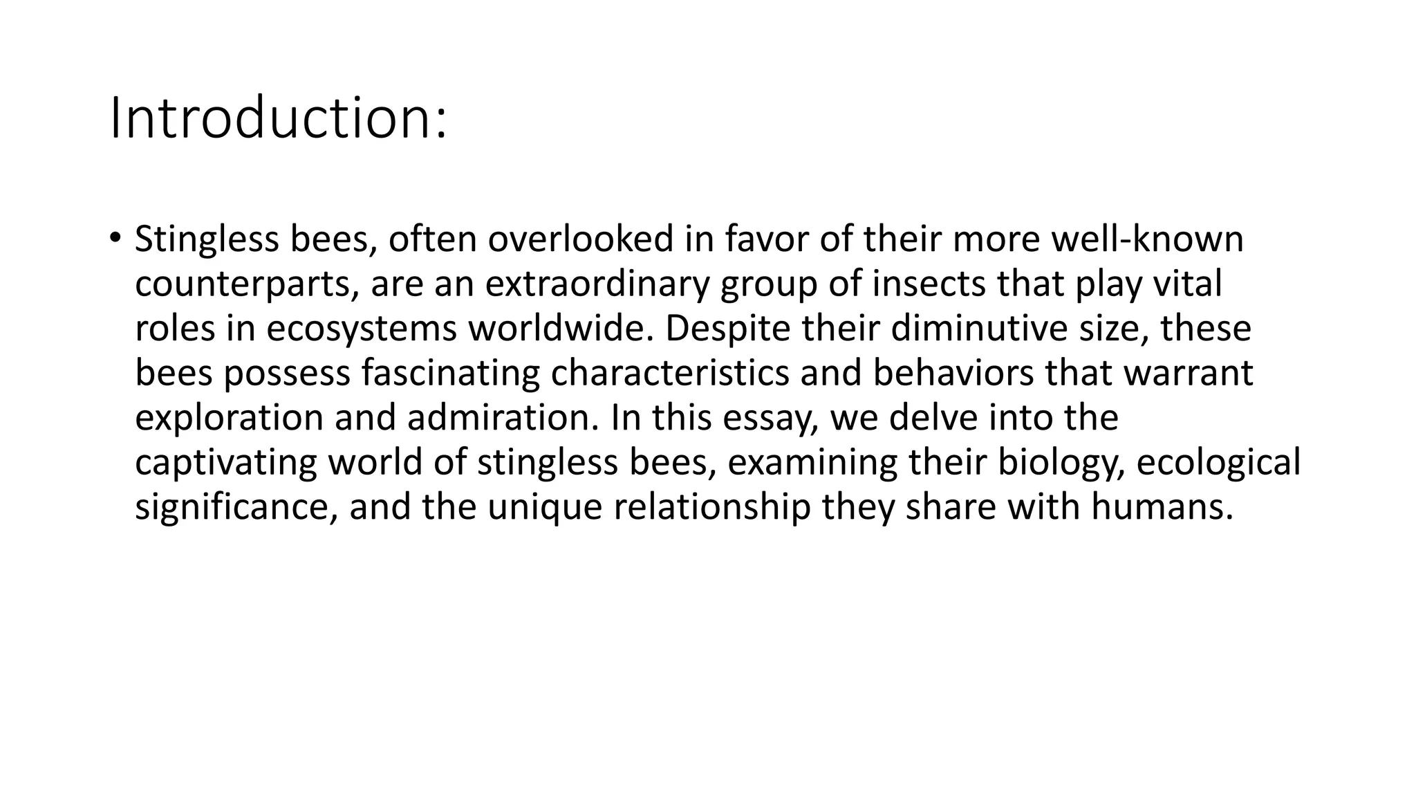 Short Introduction on the origin of stingless bee.pptx