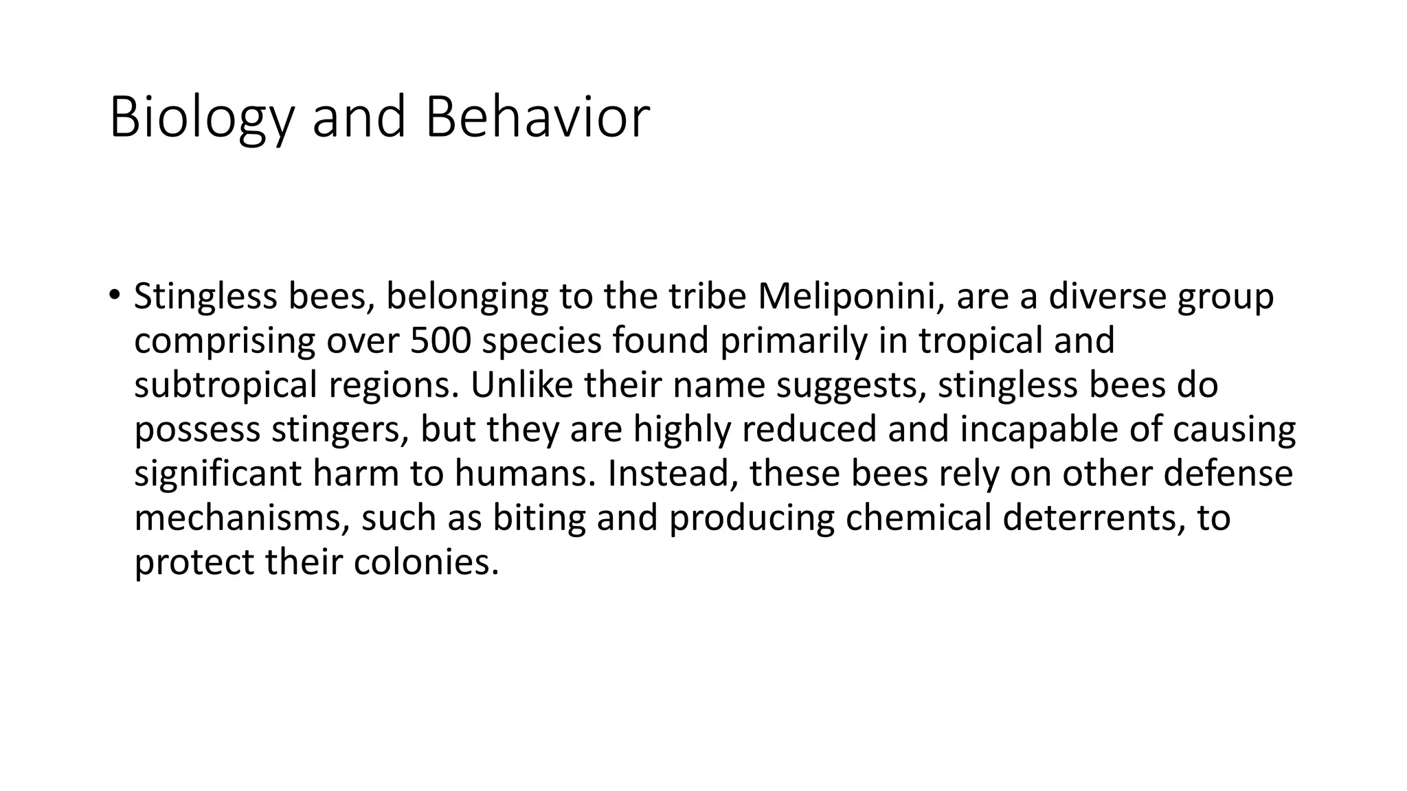 Short Introduction on the origin of stingless bee.pptx