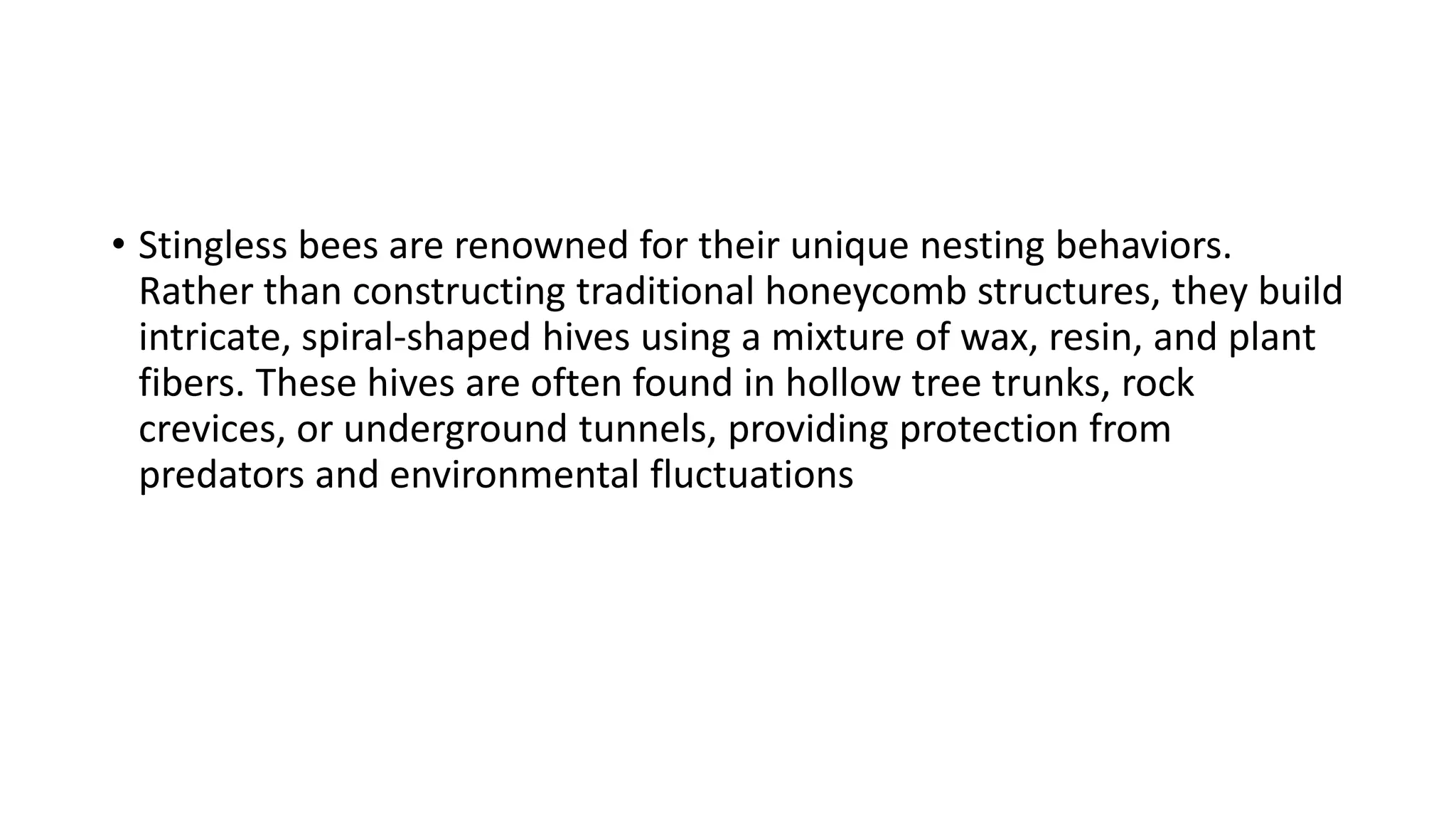 Short Introduction on the origin of stingless bee.pptx