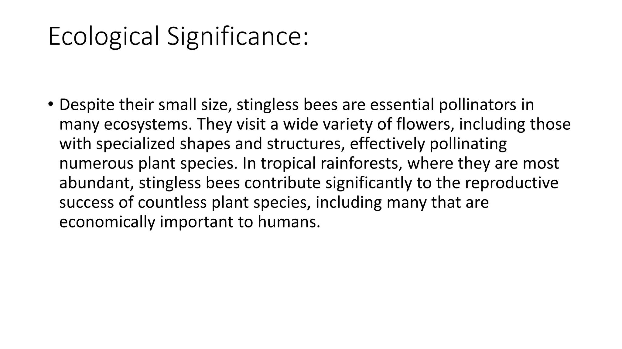Short Introduction on the origin of stingless bee.pptx