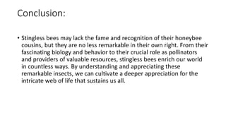 Short Introduction on the origin of stingless bee.pptx