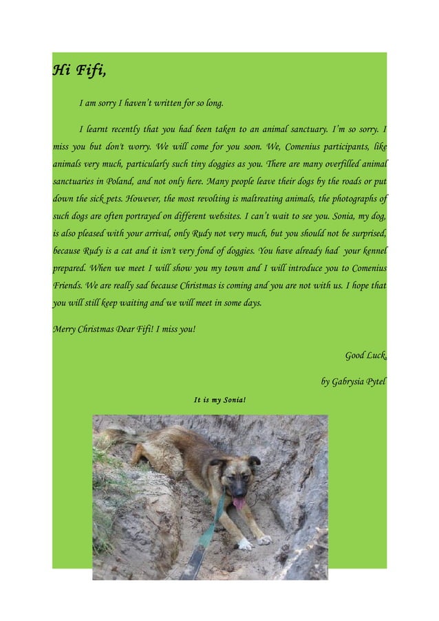 Short letters obout our land dear fifi-1 | PDF