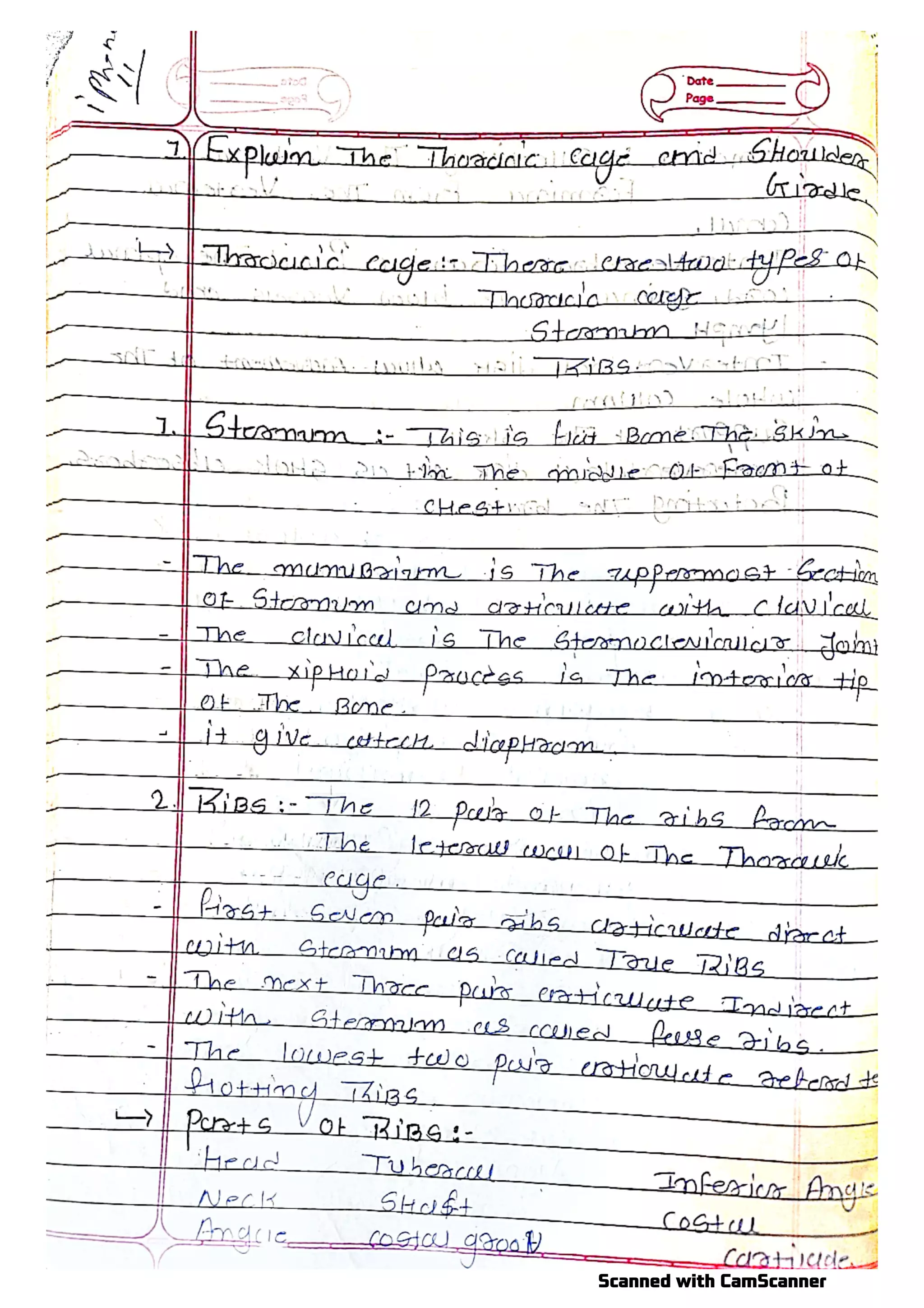 Anatomy important Questions | PDF