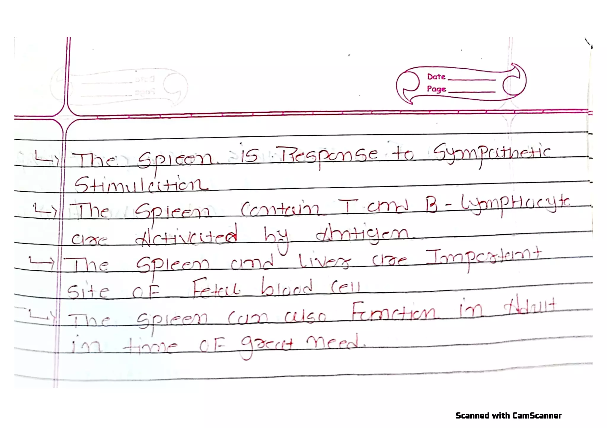 Anatomy Important Questions Pdf