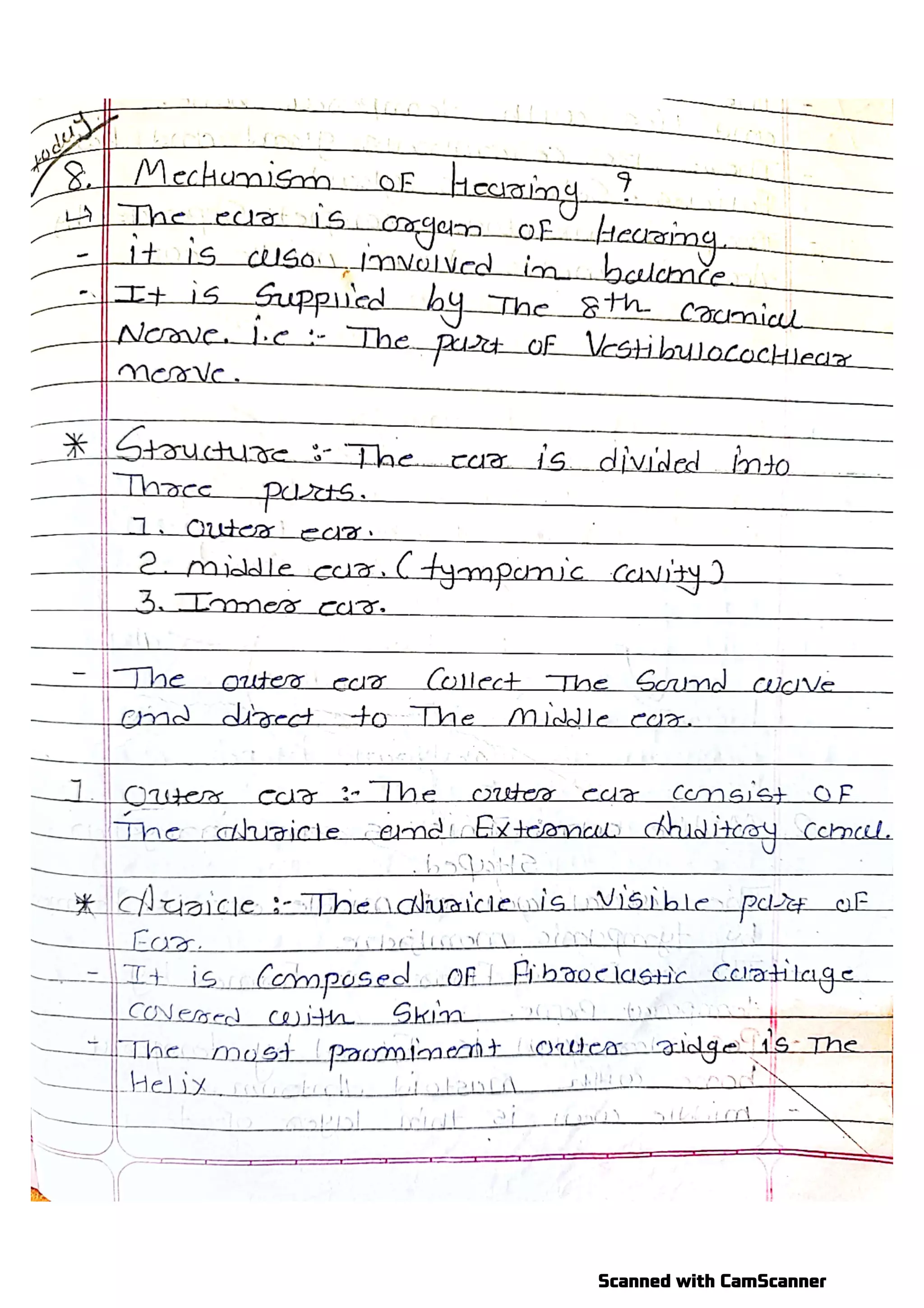 Anatomy important Questions | PDF