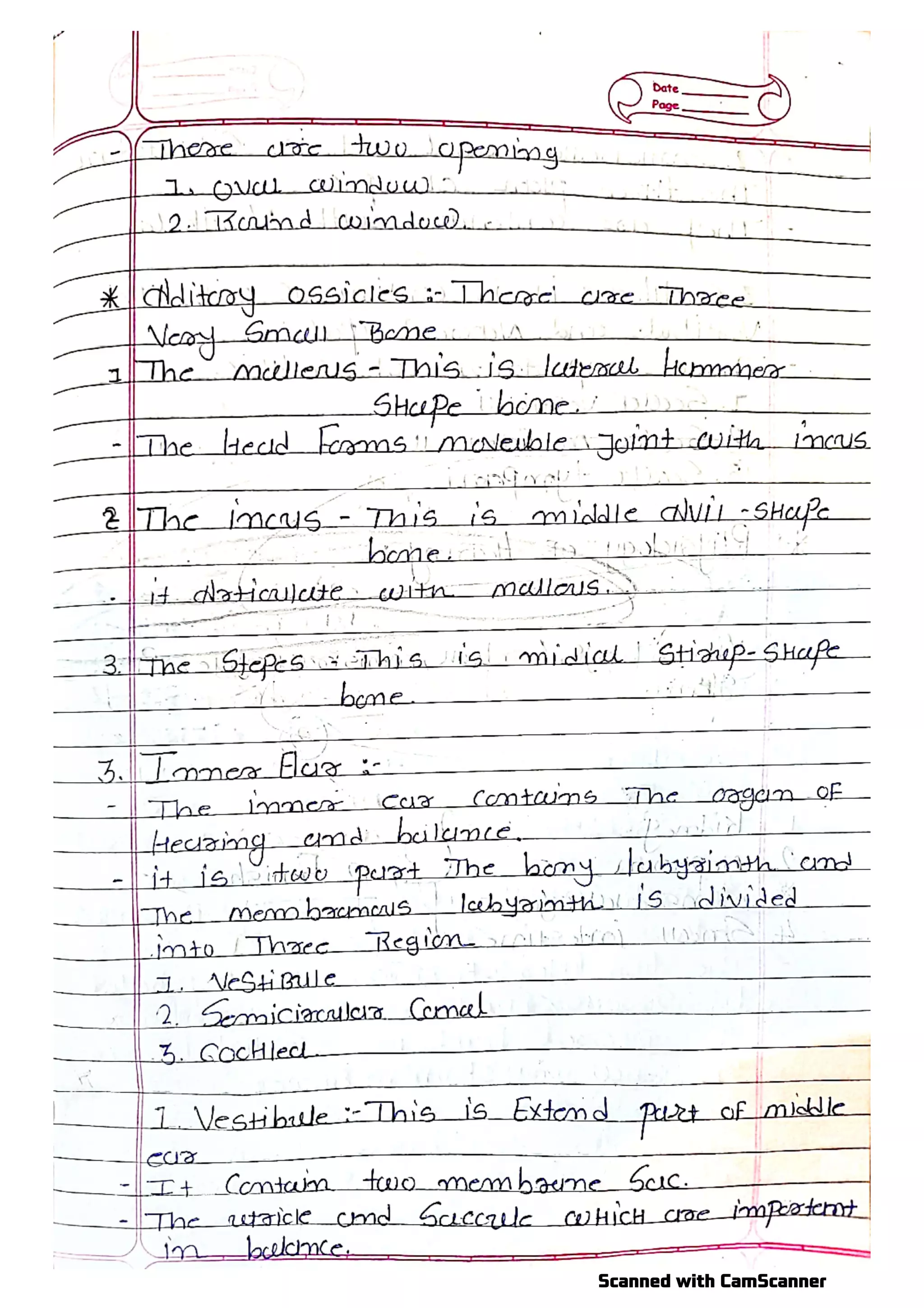 Anatomy important Questions | PDF
